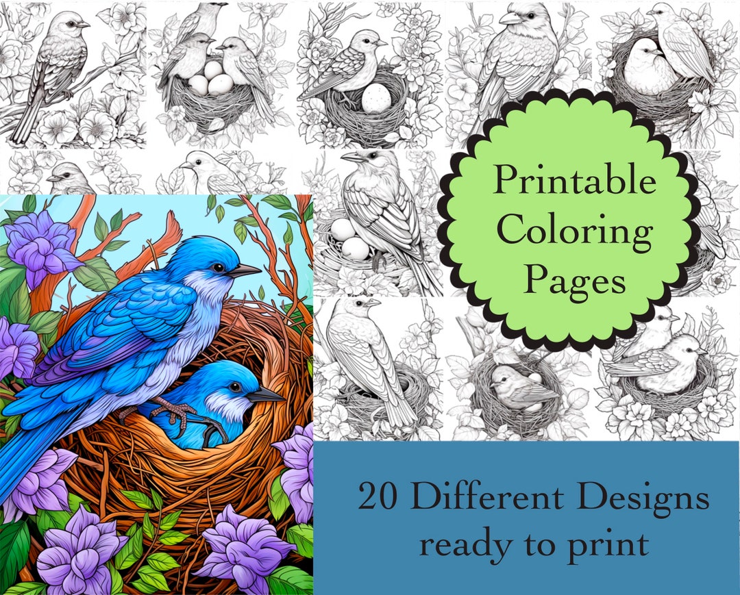 Birds Nest Coloring Book 20 Birds Coloring Pages Instant Download ...