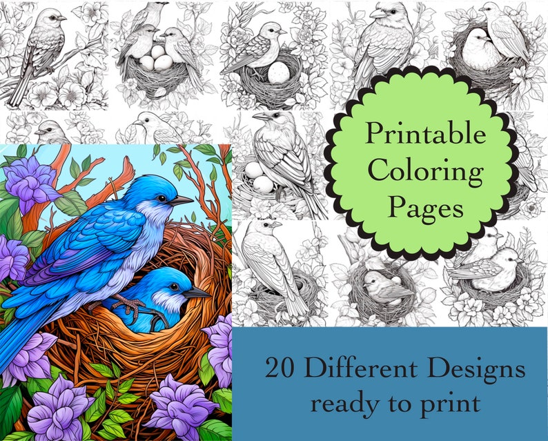 Birds Coloring Book 20 Birds Coloring Pages Instant Download Floral ...