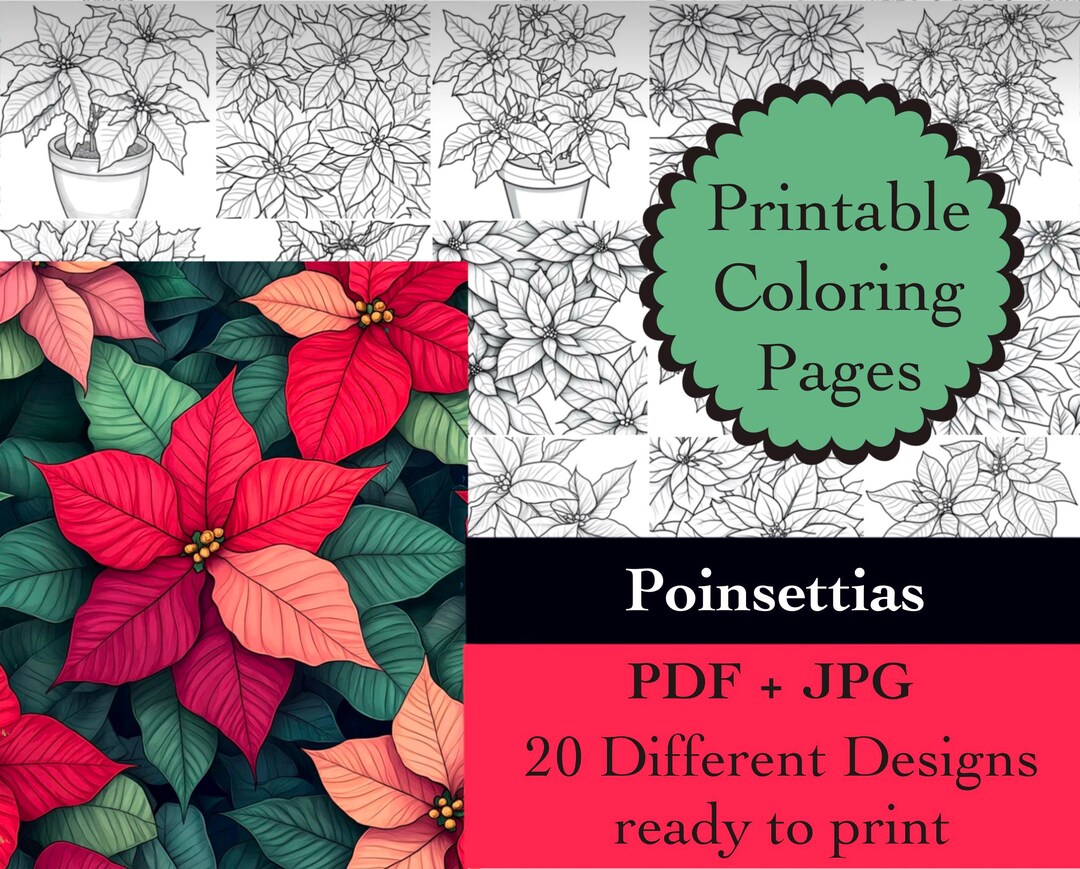 Poinsettias Coloring Book 20 Coloring Pages Instant Download Christmas ...