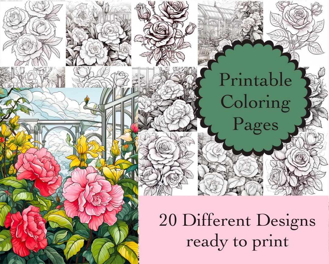 Rose Flowers Coloring Book 20 Rose Flower Coloring Pages Instant ...