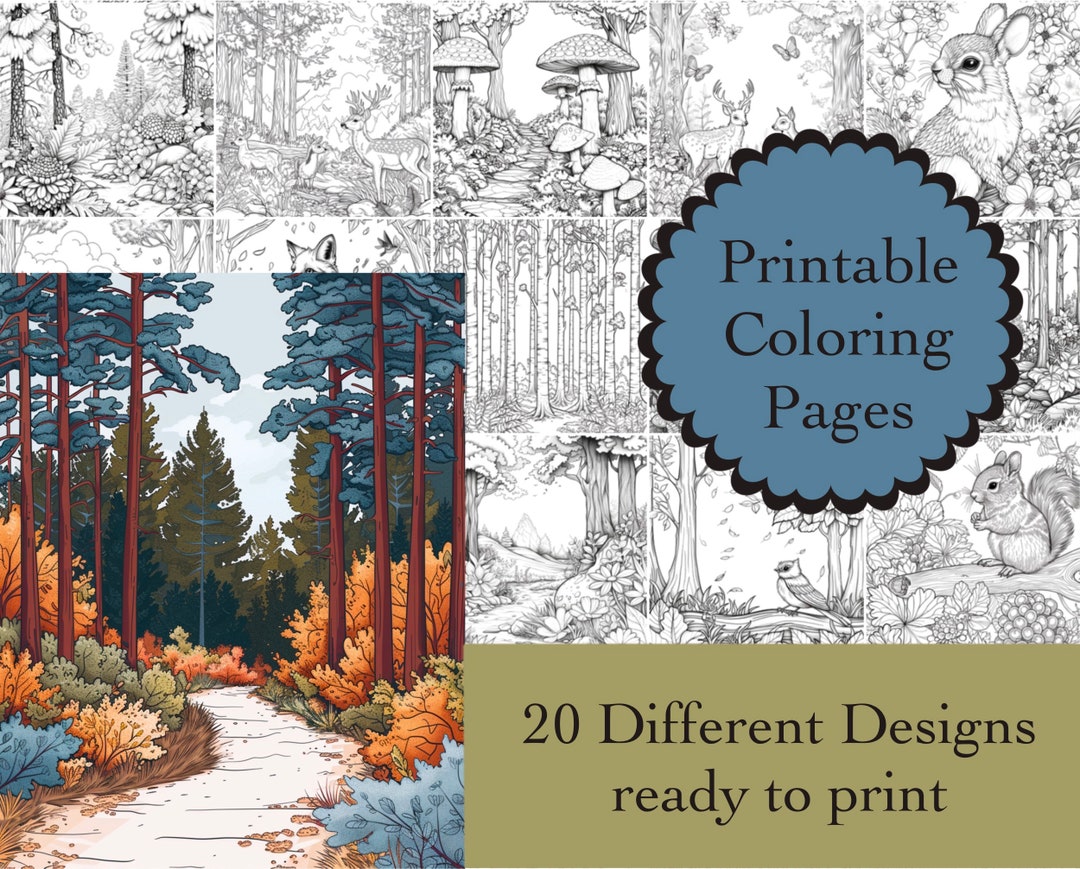 Woodland Coloring Book 20 Coloring Pages Instant Download Woodland ...