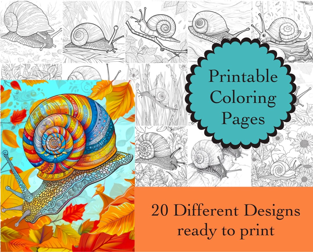 Snails Coloring Book 20 Snails Coloring Pages Instant Download Snails ...
