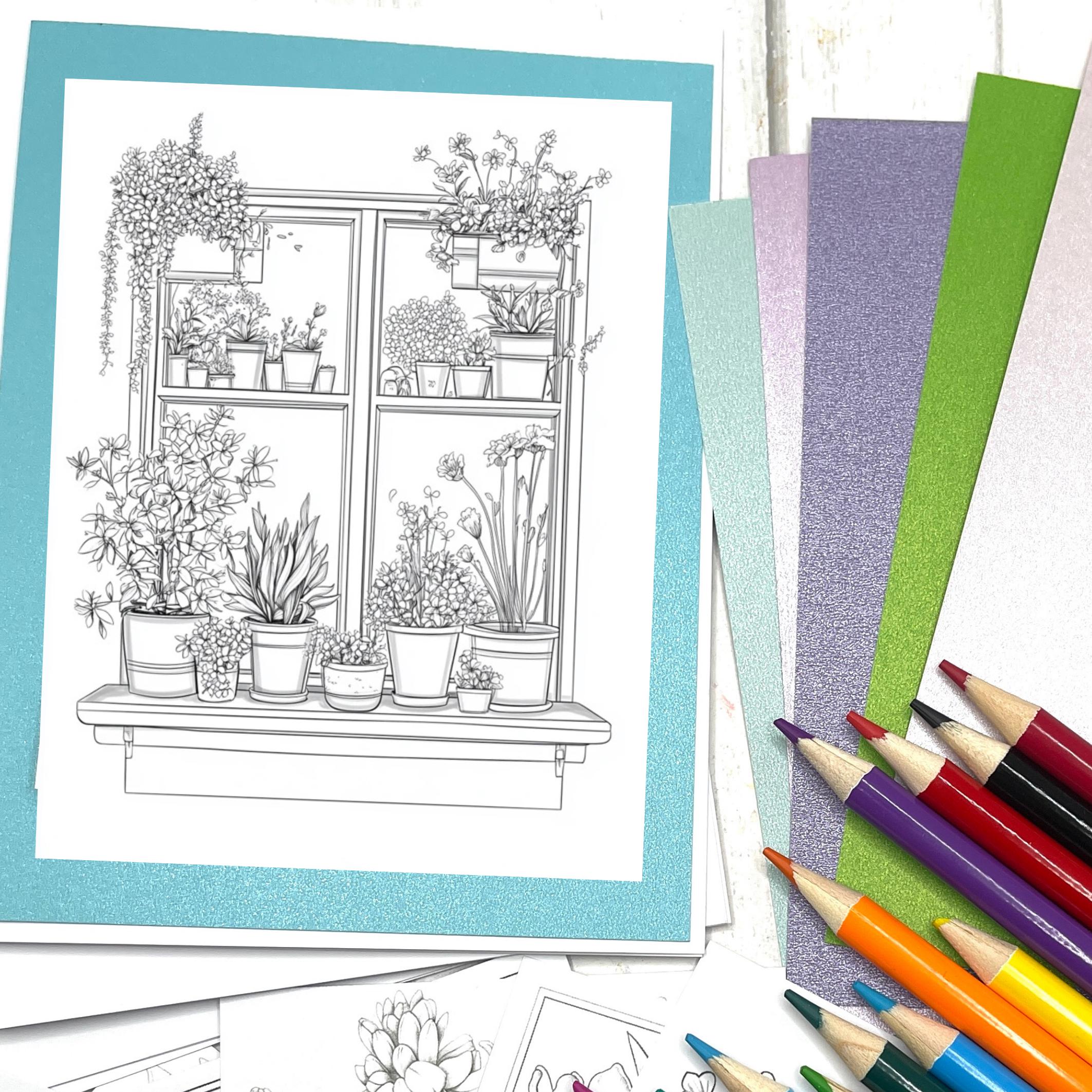 Flower Window Boxes Coloring Book 20 Flower Boxes Coloring Pages ...