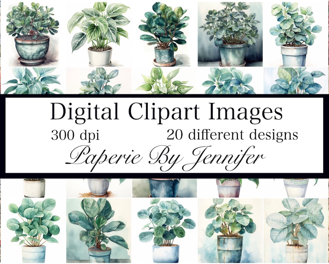 House Plant Images 20 Instant Download Potted Indoor Houseplants ...