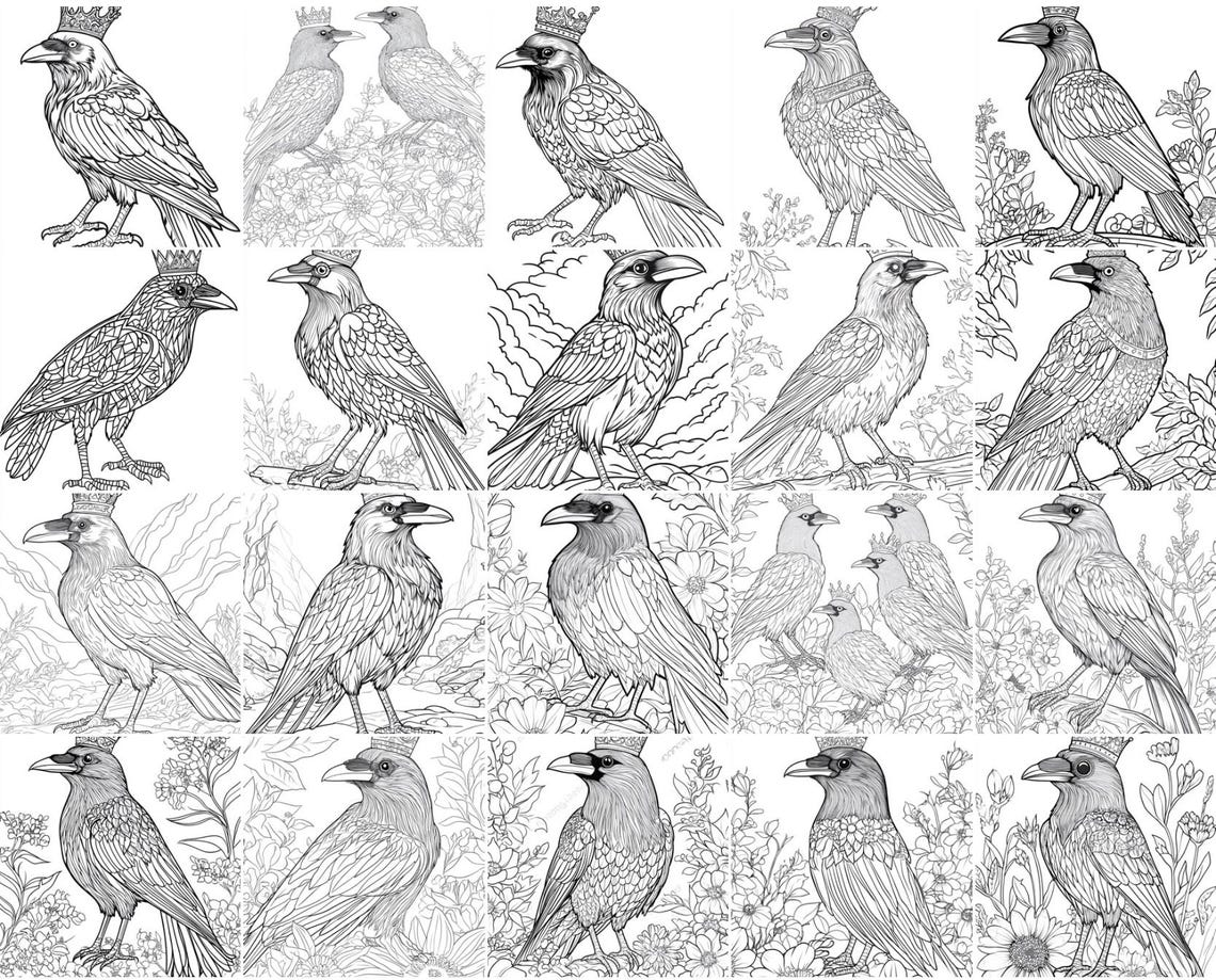 Crowned Crows Coloring Book 20 Birds Coloring Pages Instant Download ...