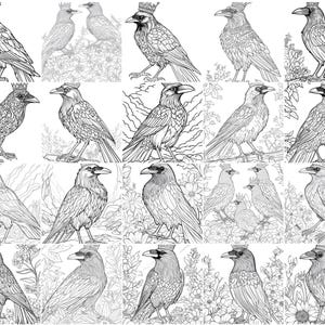 Crowned Crows Coloring Book 20 Birds Coloring Pages Instant Download ...