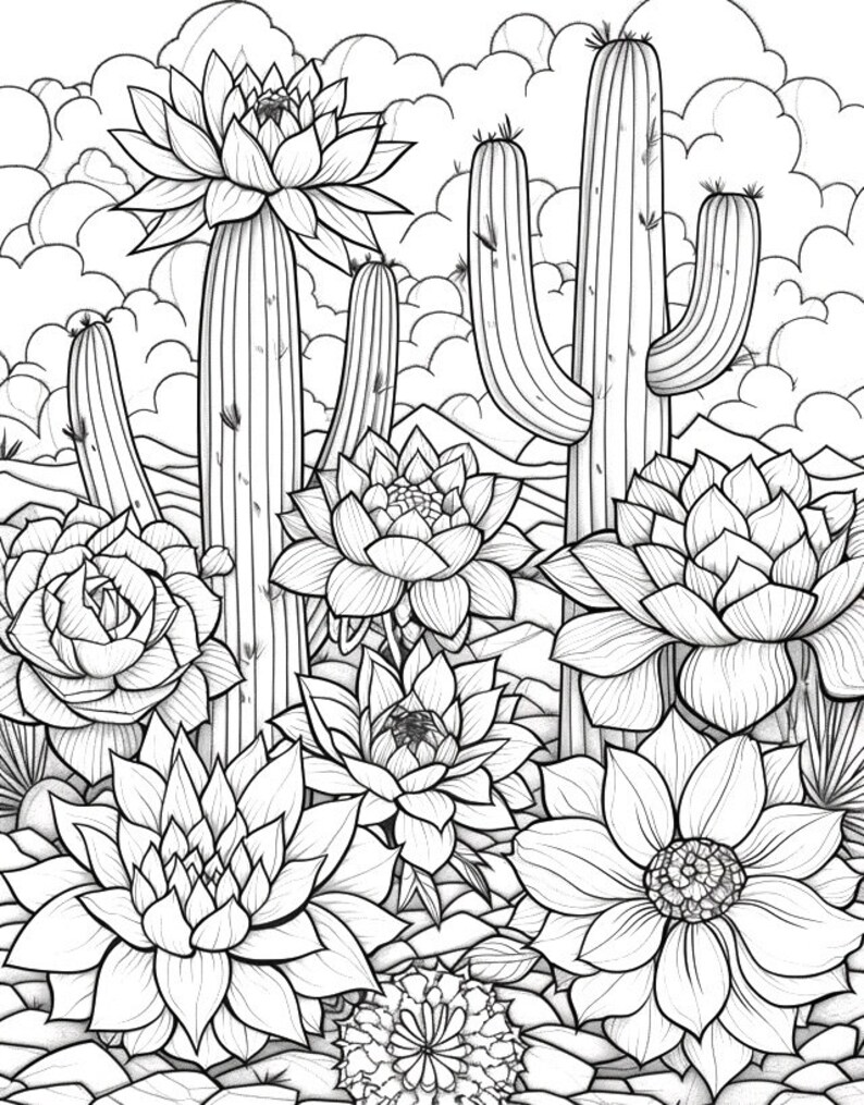 Succulents Cactus Coloring Book 20 Succulents Coloring Pages Instant ...
