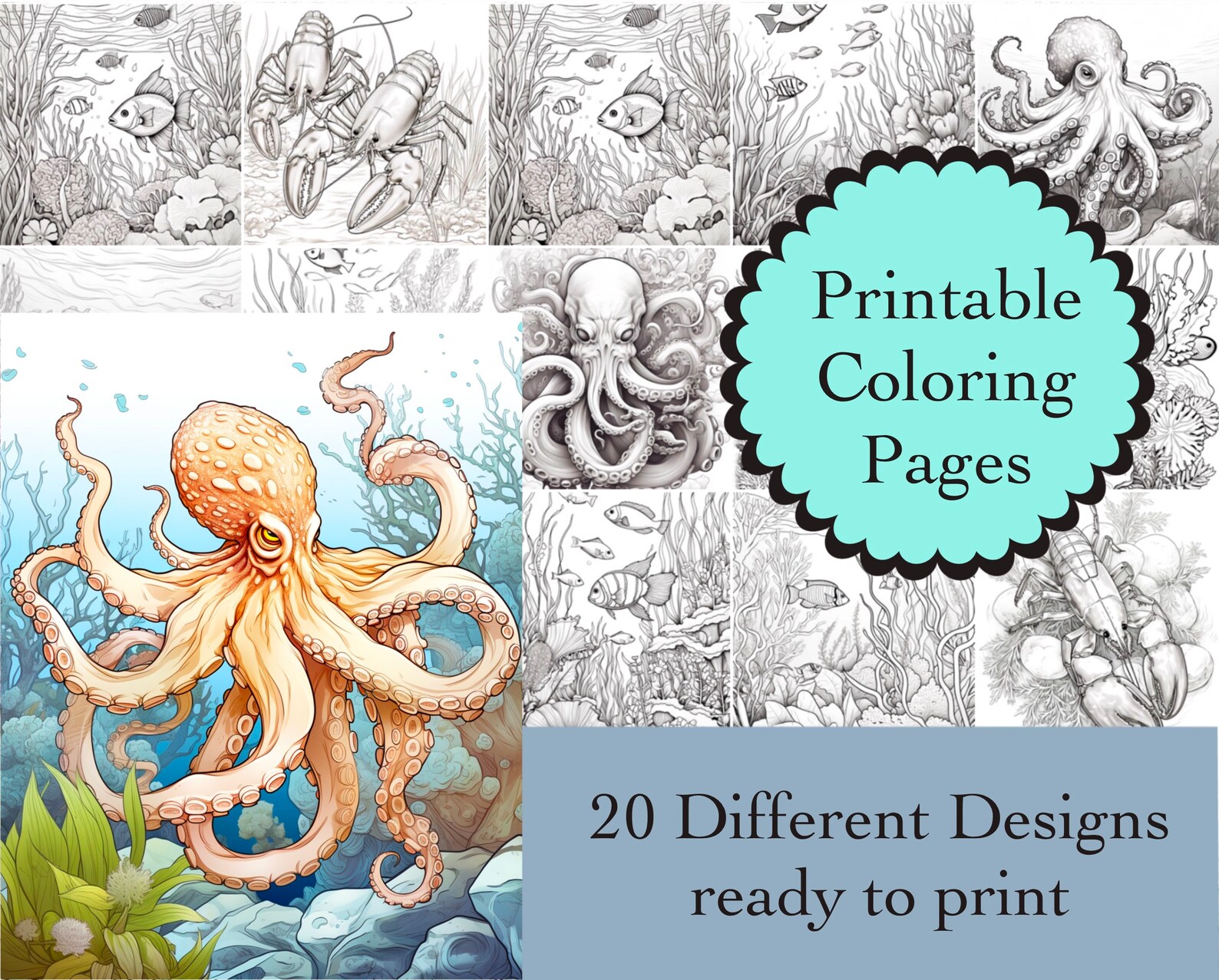 Sea Life Coloring Book 20 Sea Creatures Coloring Pages Instant Download ...
