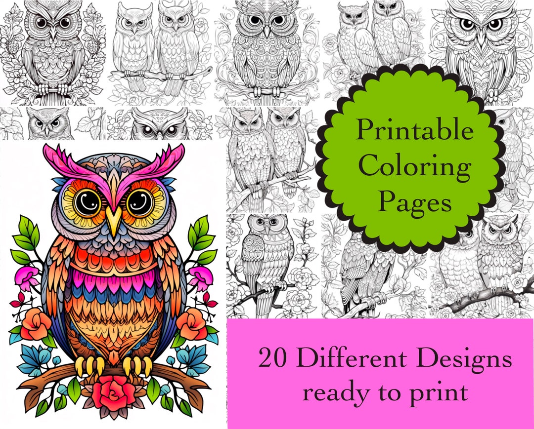 Owl Coloring Book 20 Owl Coloring Pages Instant Download Owls Printable ...