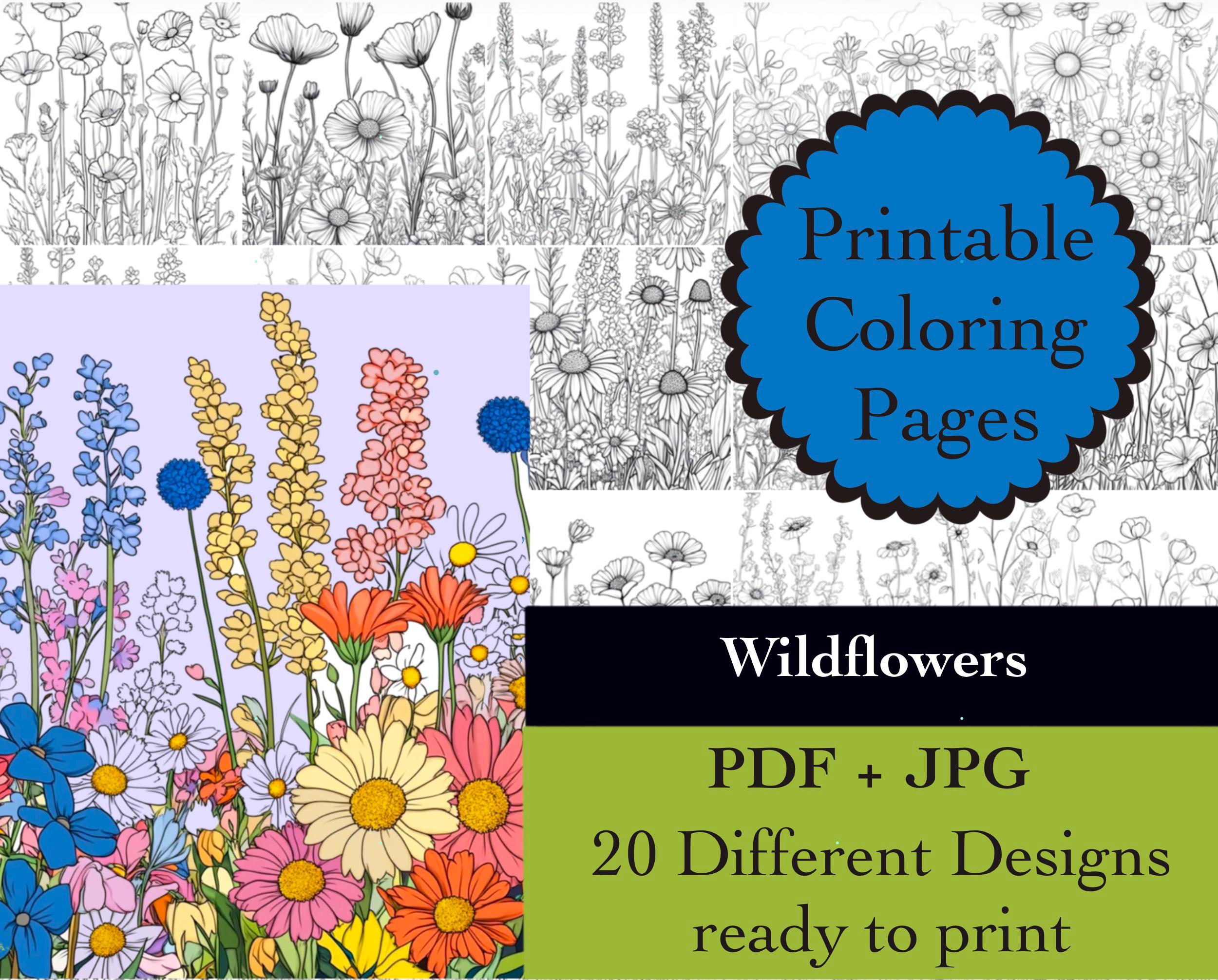 Wildflower Fields Coloring Book 20 Wildflower Coloring Pages Instant ...