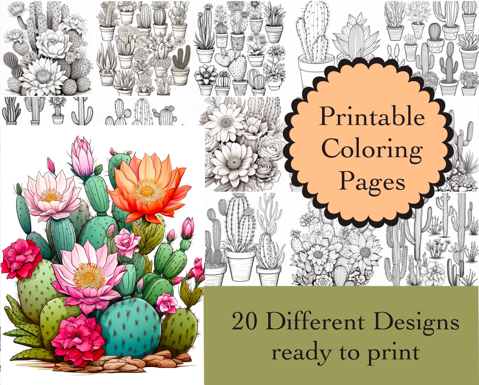 Cactus Coloring Book: 20 Printable Cactus Line Art Pages (digital ...