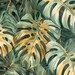 Monstera Background Images 20 Instant Download Houseplant Card ...