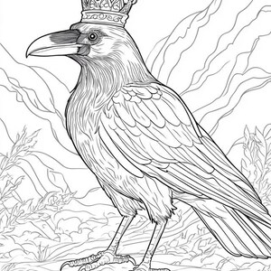 Crowned Crows Coloring Book 20 Birds Coloring Pages Instant Download ...