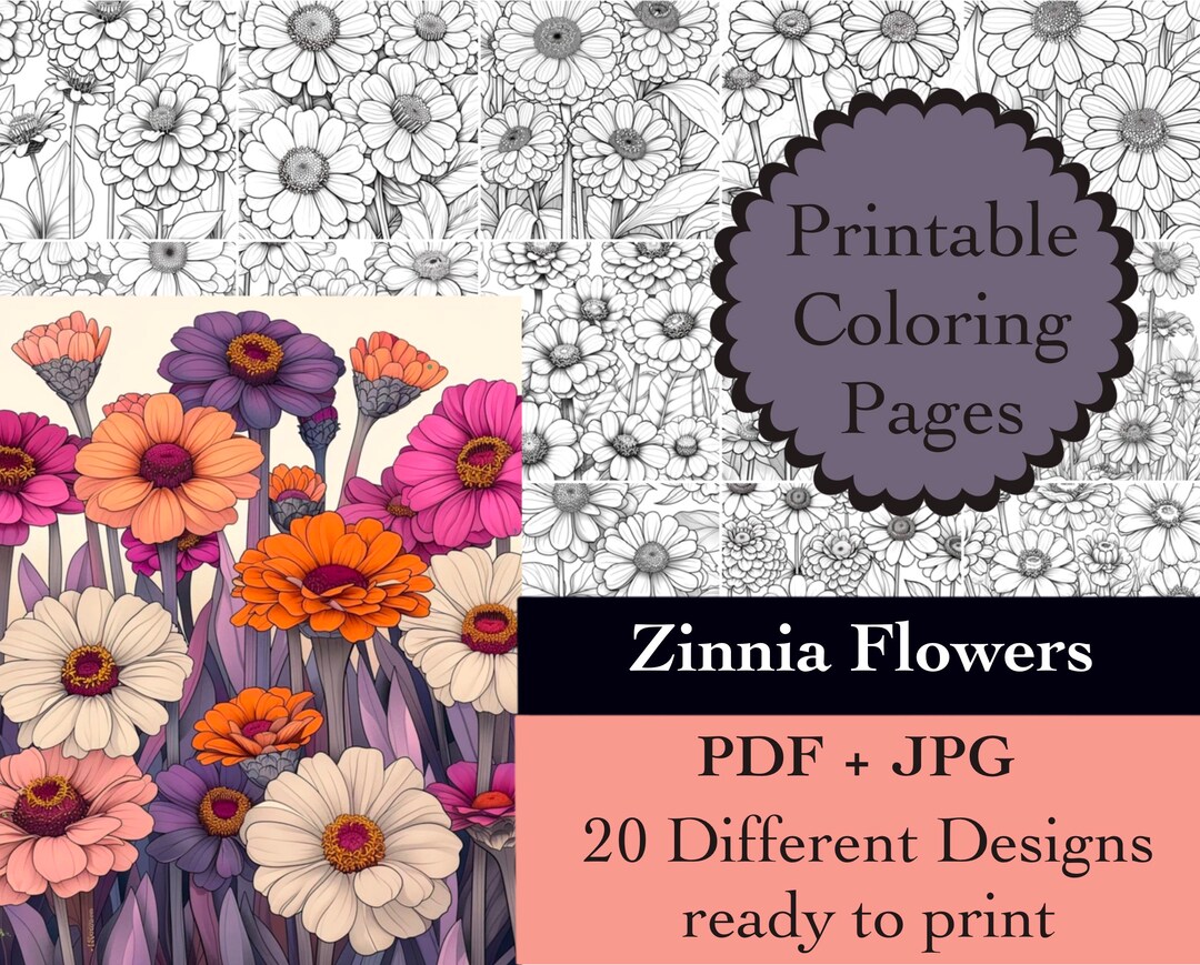 Zinnia Flowers Coloring Book 20 Coloring Pages Instant Download Garden ...