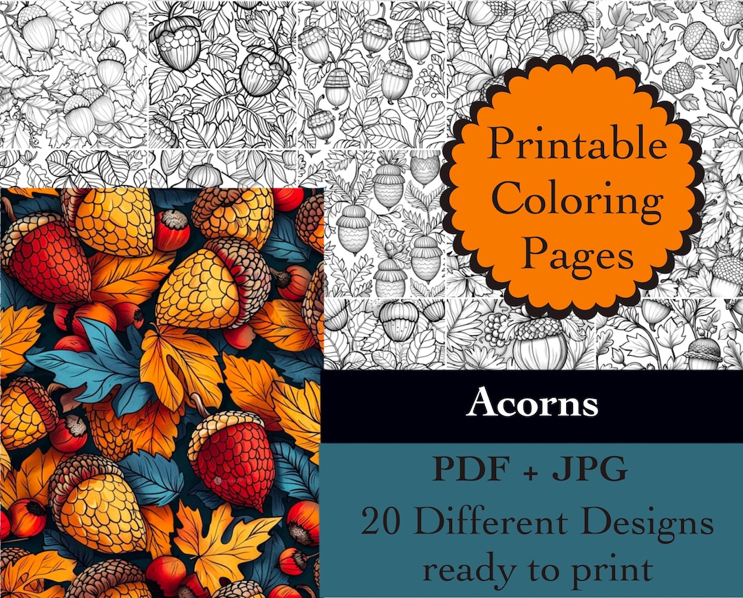 Acorn Coloring Book 20 Coloring Pages Instant Download Fall Printable ...