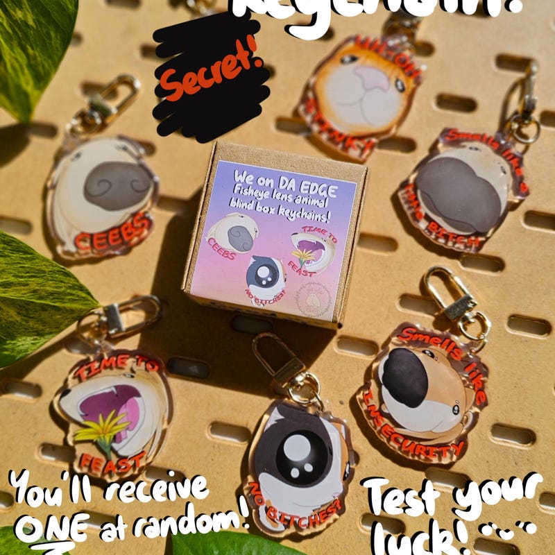 Buy Meme Mystery Box Online In India - Etsy India
