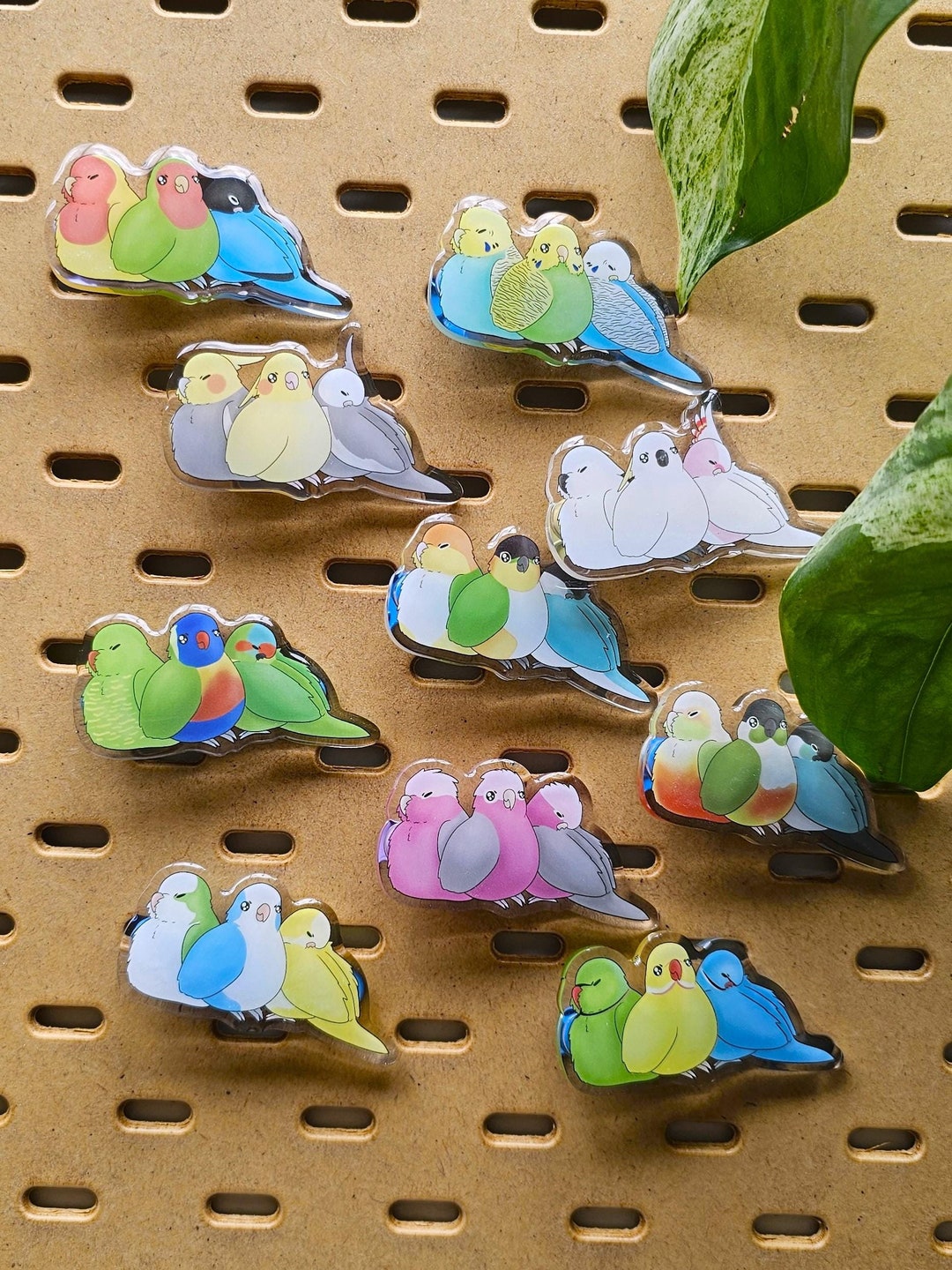 Acrylic Bird Hair Clips | Epoxy Acrylic Hair Clip | Gift for Bird ...