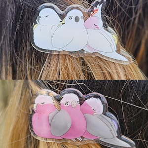 Acrylic Bird Hair Clips | Epoxy Acrylic Hair Clip | Gift for Bird ...