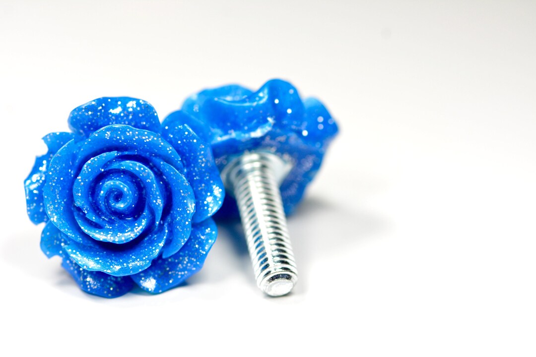 CUSTOM Rose License Plate Bolts - Etsy