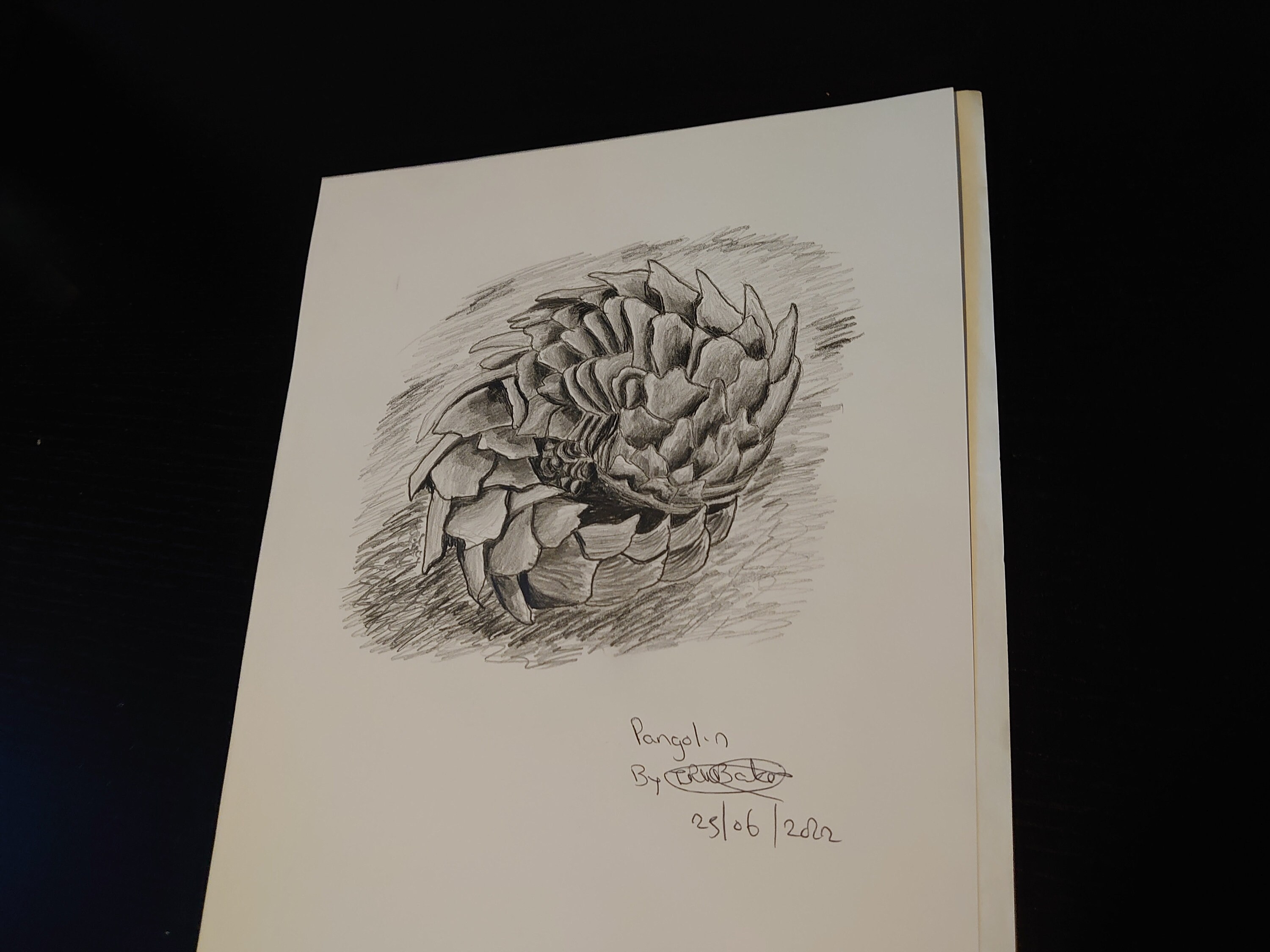 Pangolin Hand Drawing Wildlife Art Original Art - Etsy