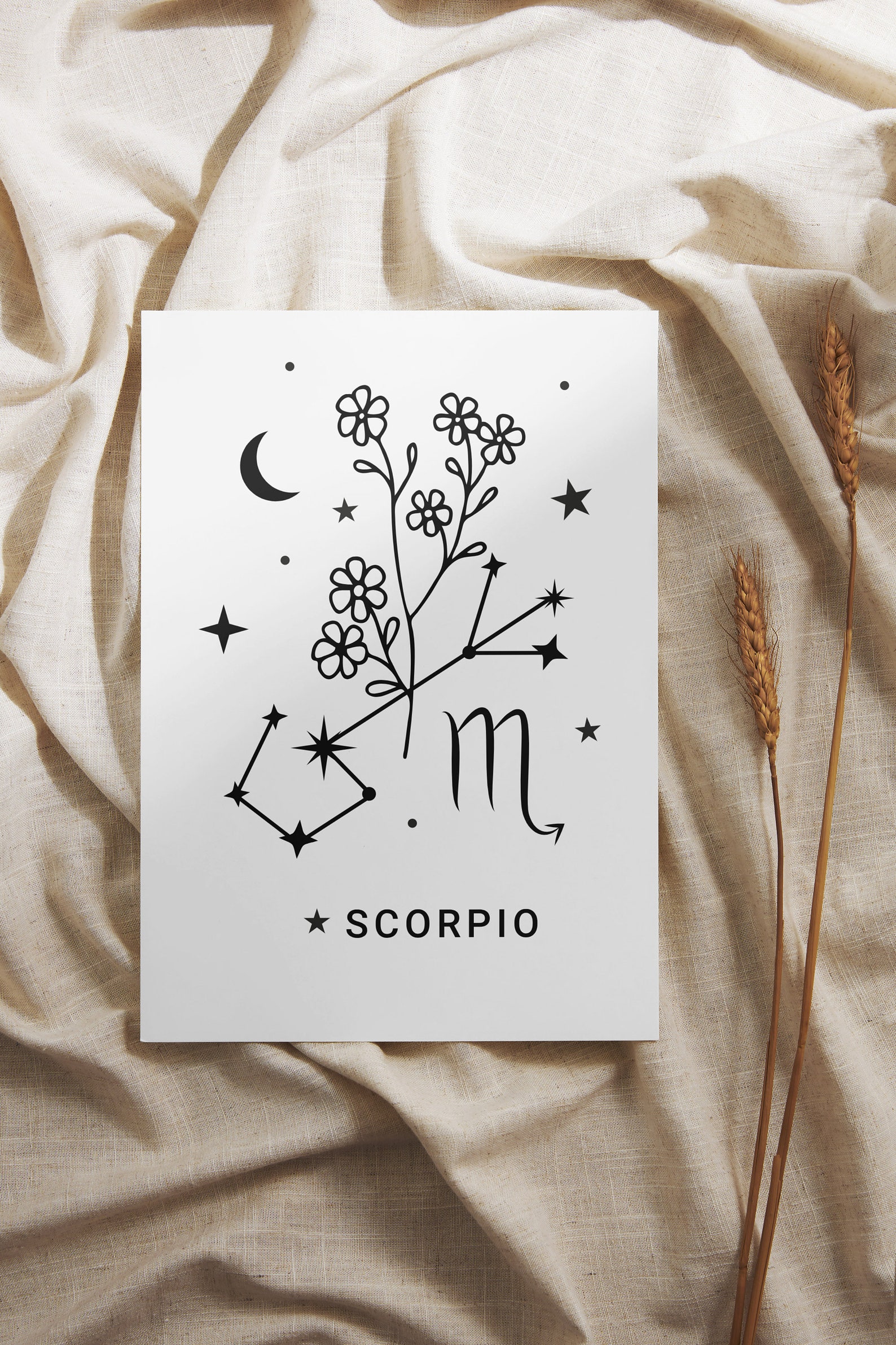 Scorpio Horoscope Sign Svg File Clipart Images for Gifts for - Etsy
