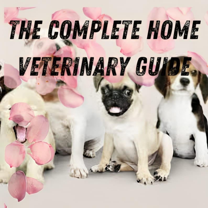 Vet G- A Complete Vet G (veterinary Guide). BEST SELLING GUIDE, From a ...