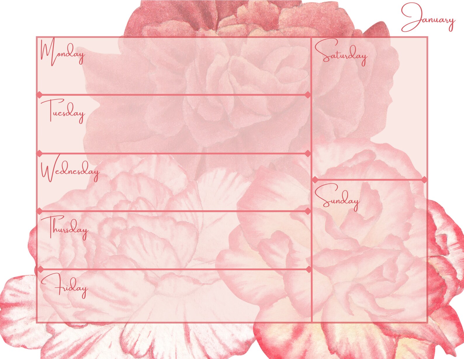 2024 Flower of the Month Calendar Digital Download and Canva Link - Etsy