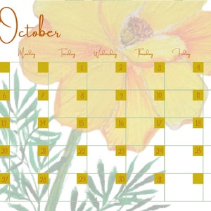 2024 Flower of the Month Calendar Digital Download and Canva Link - Etsy