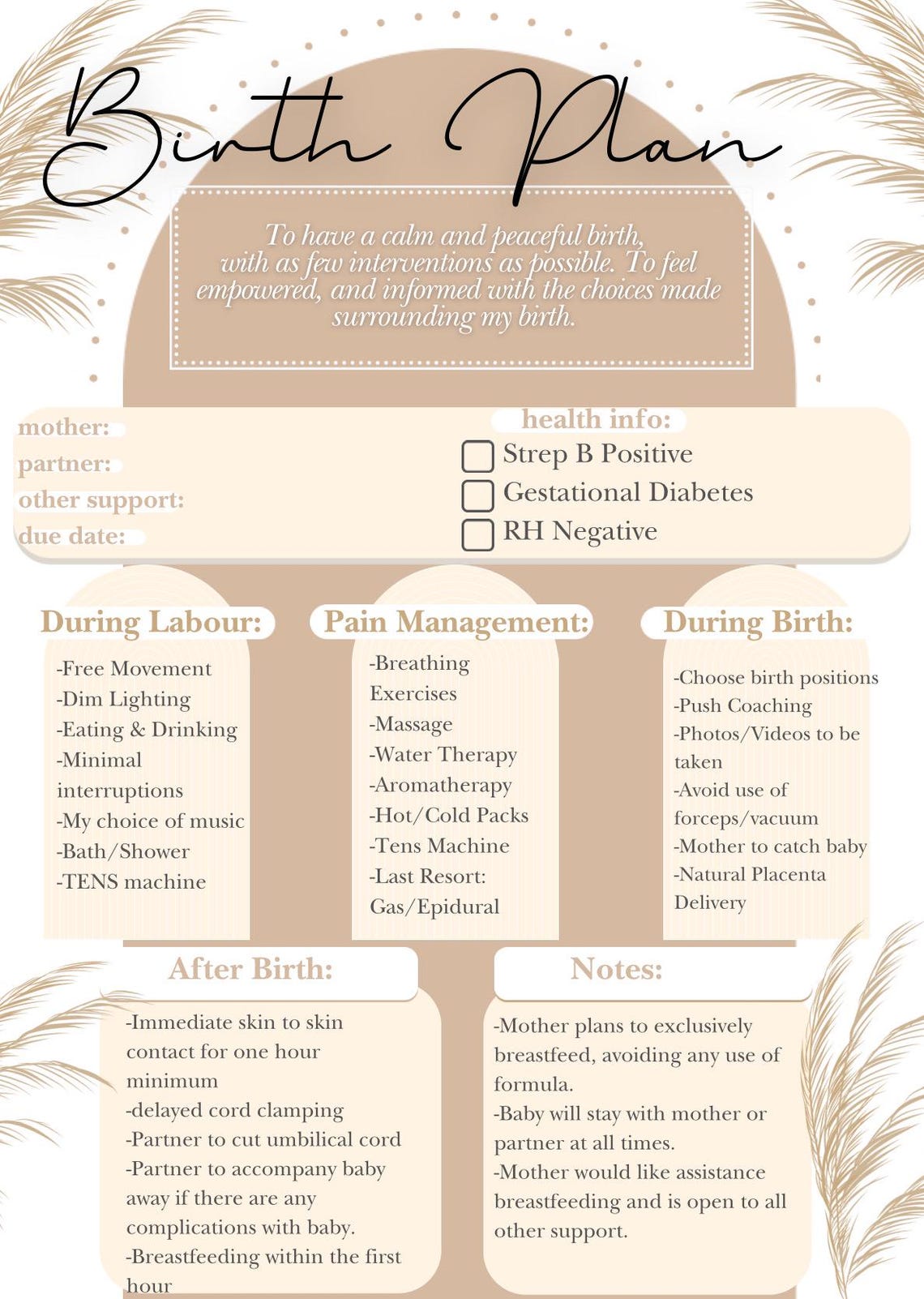 Neutral (natural) Birth Plan Template Digital Download Print Ready - Etsy