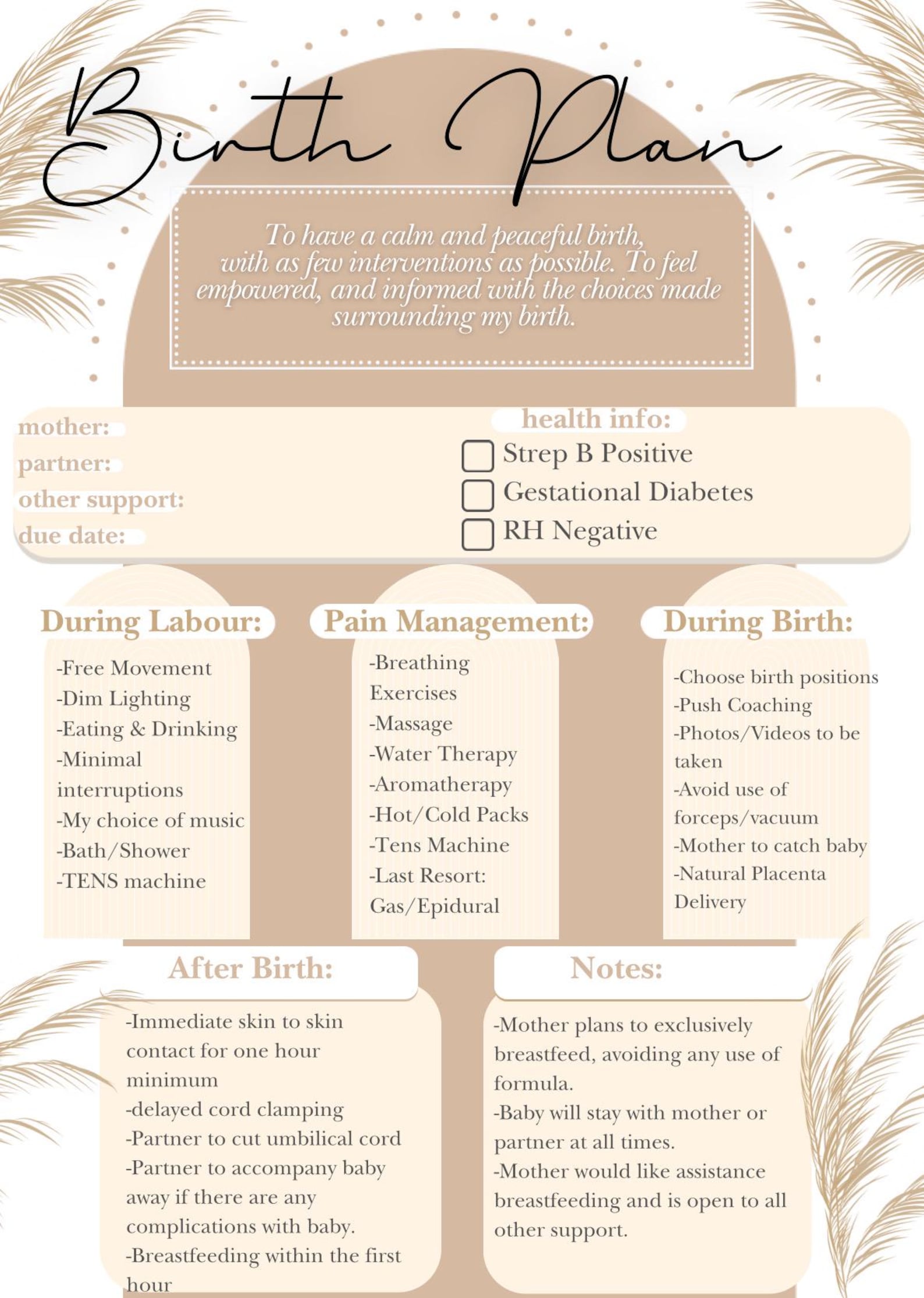 Neutral (natural) Birth Plan Template Digital Download Print Ready - Etsy