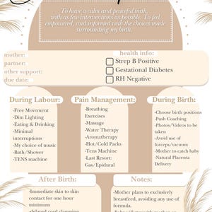 Neutral (natural) Birth Plan Template Digital Download Print Ready - Etsy