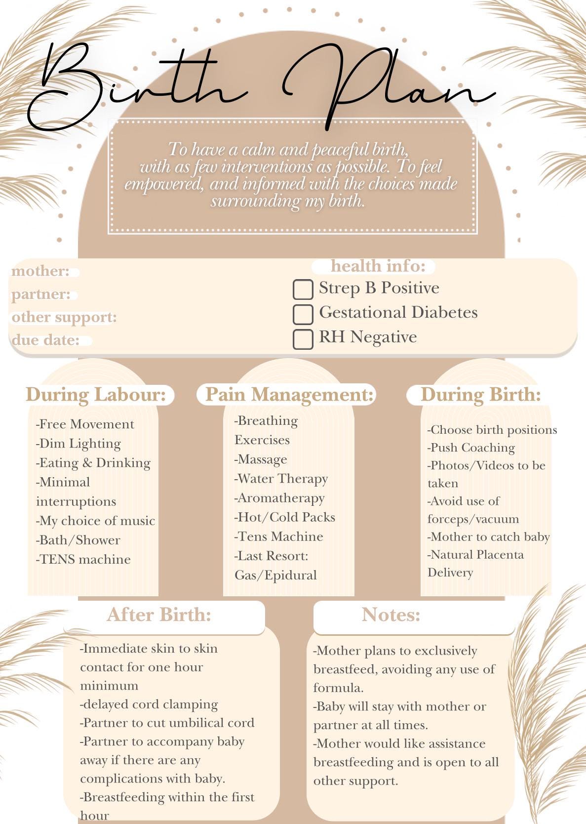 Neutral (natural) Birth Plan Template Digital Download Print Ready - Etsy
