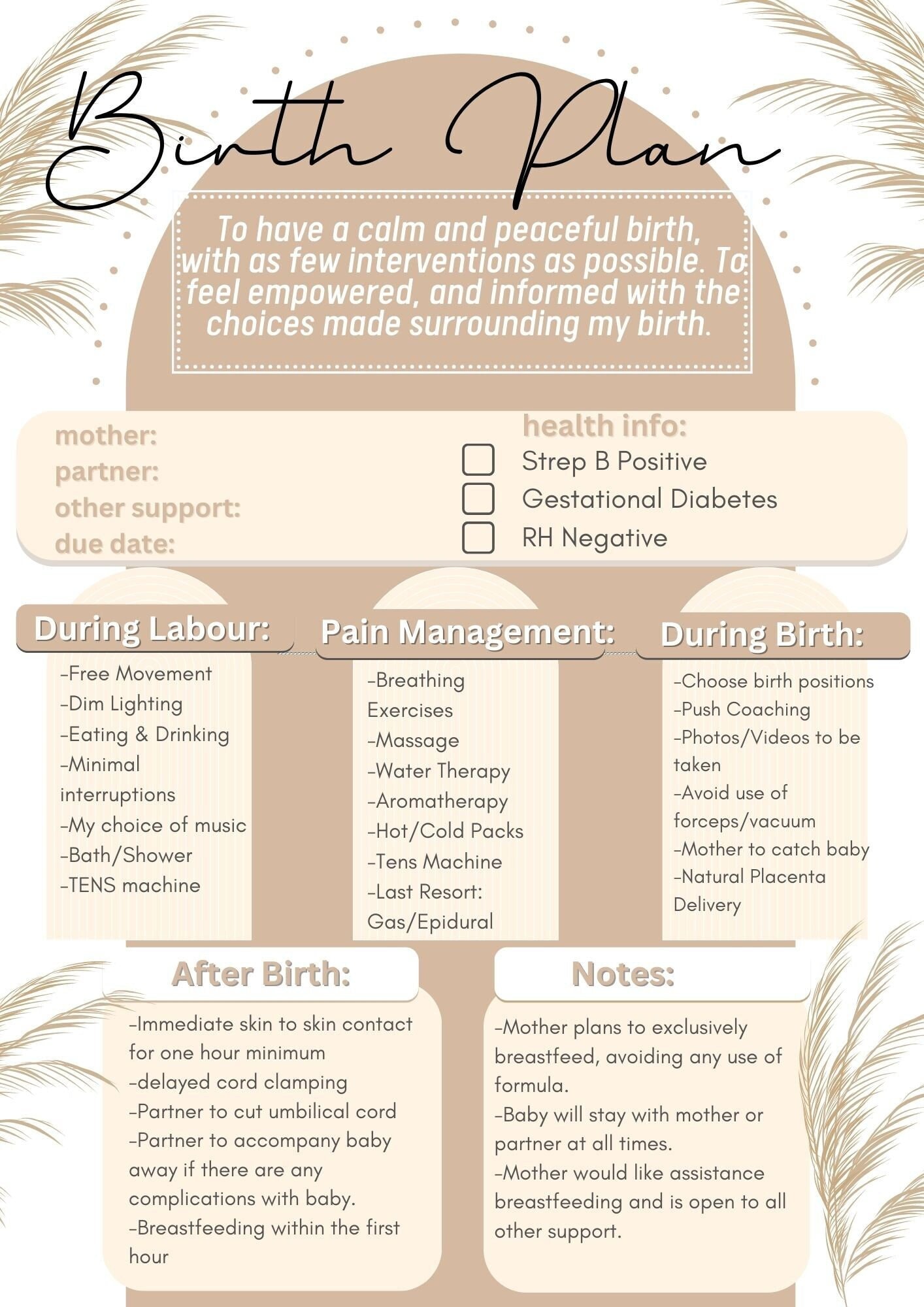 Neutral natural Birth Plan Template Digital Download Print Ready - Etsy