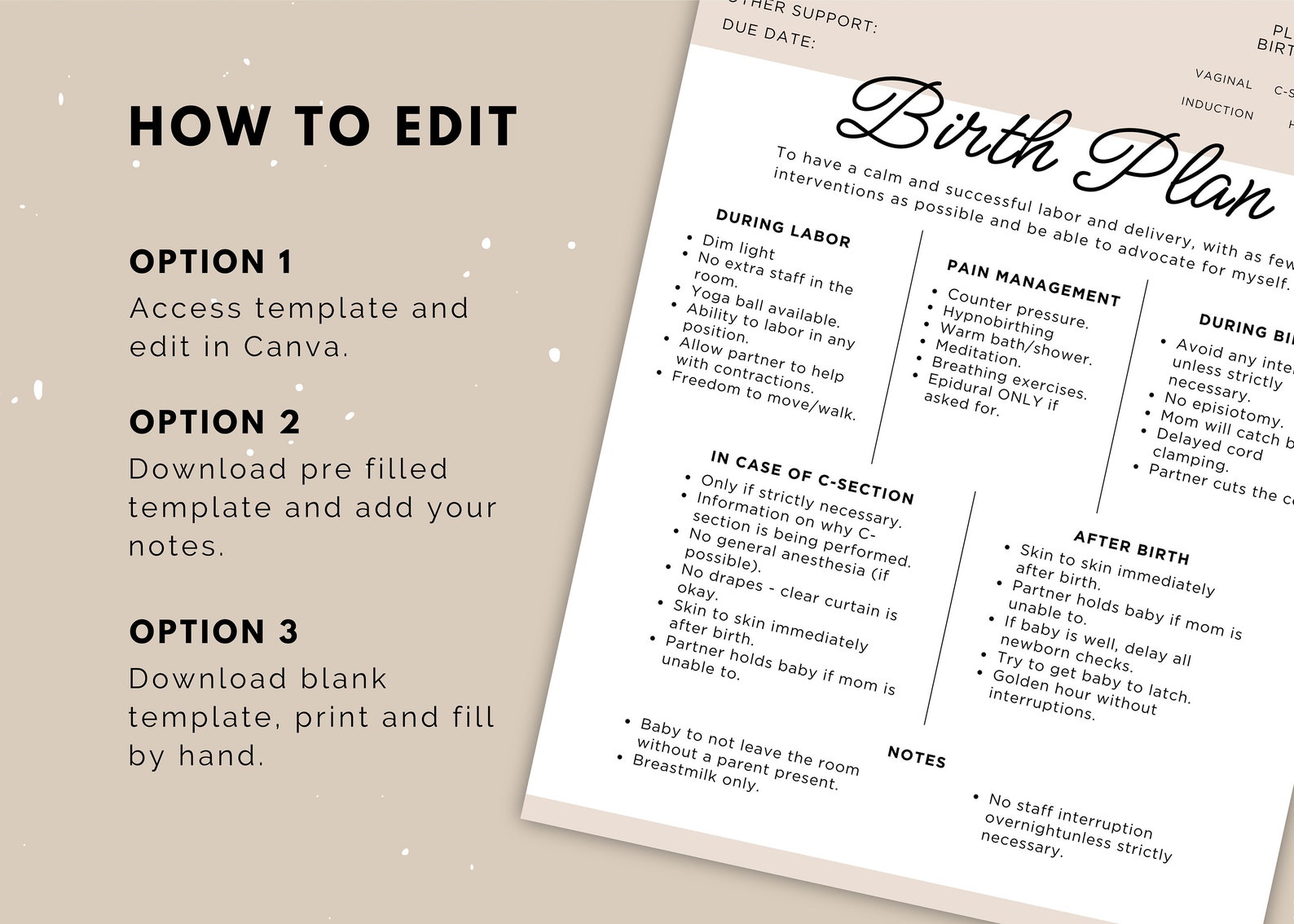 Editable Birth Plan Template Printable Birthing Plan Labor and Delivery ...