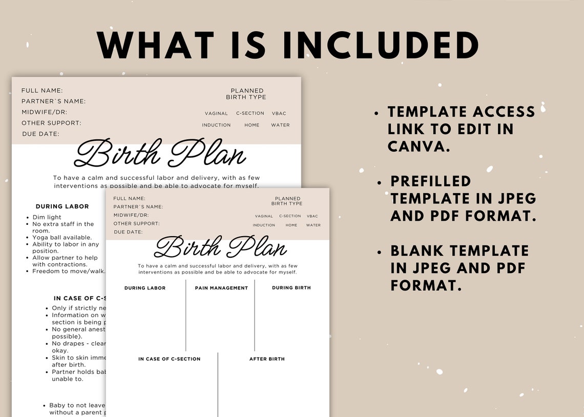 Editable Birth Plan Template Printable Birthing Plan Labor and Delivery ...