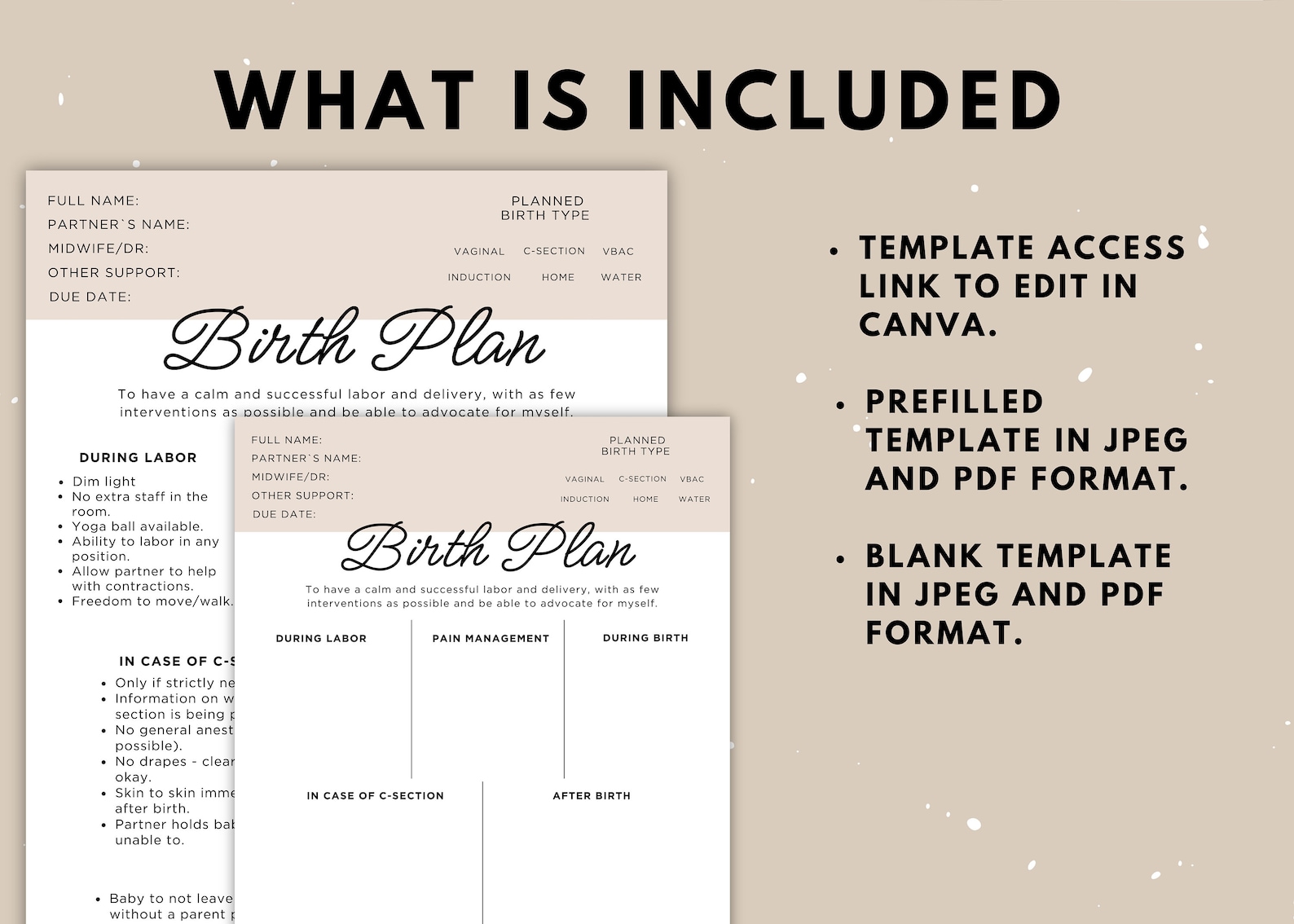 Editable Birth Plan Template Printable Birthing Plan Labor and Delivery ...
