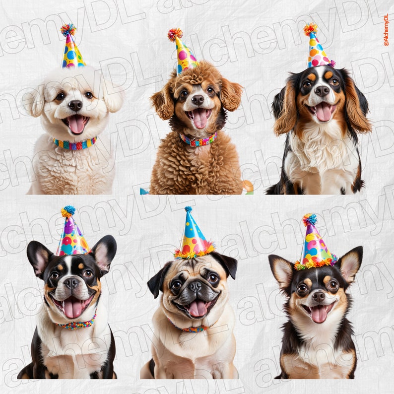 30 Cute Dogs Party Clipart Bundle, Elegant Dog Breed, Pet Lovers, PNG ...