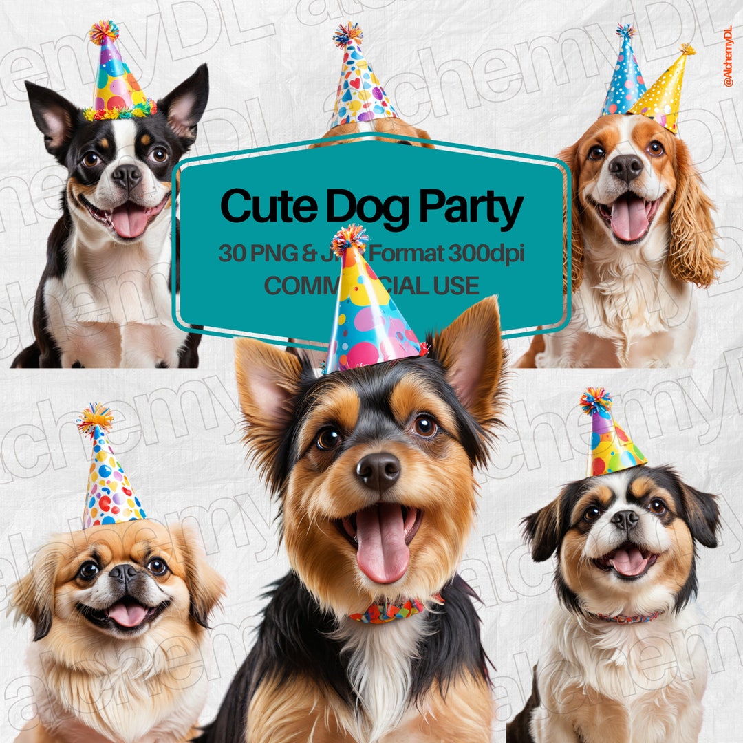 30 Cute Dogs Party Clipart Bundle, Elegant Dog Breed, Pet Lovers, PNG ...