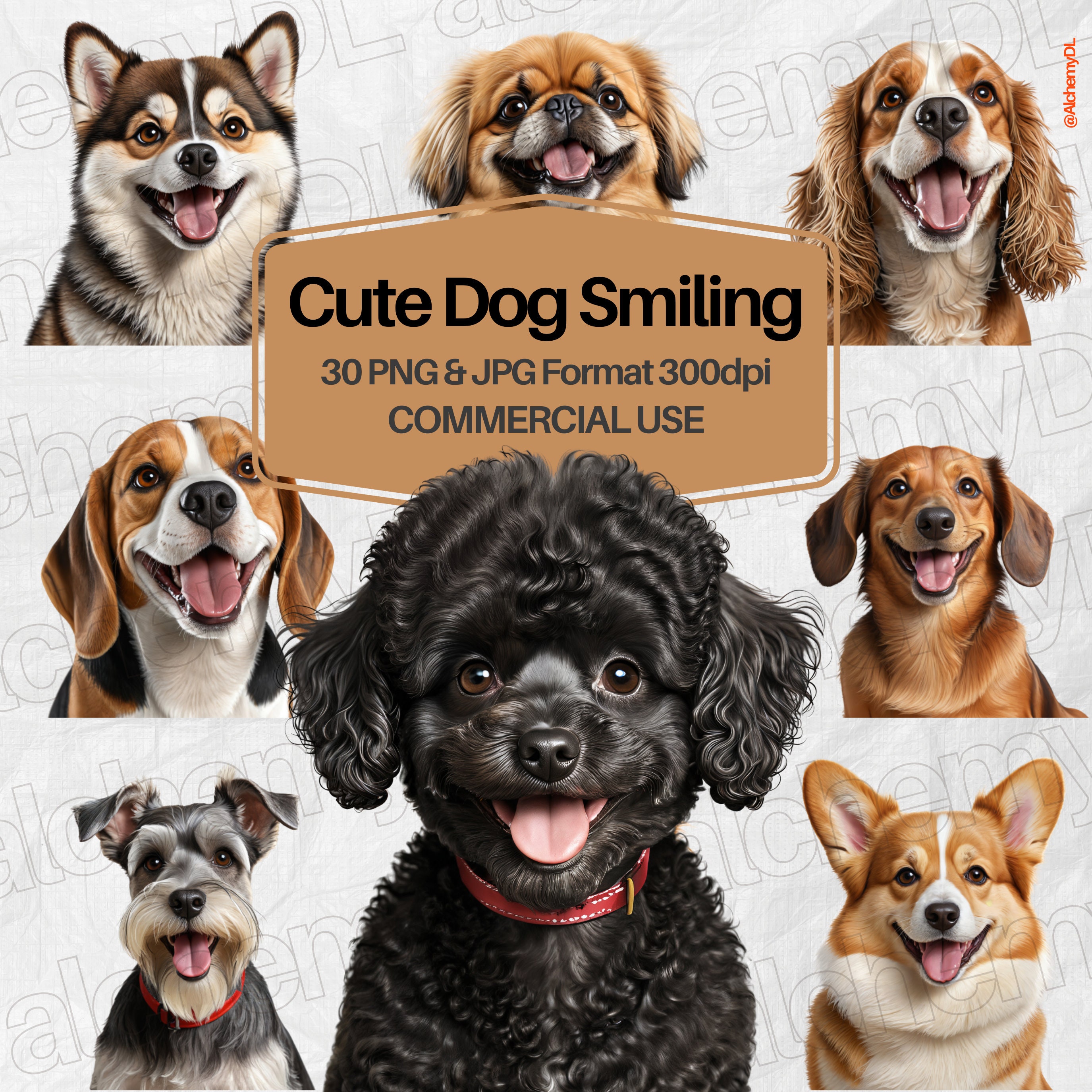 30 Cute Dogs Smiling Clipart Bundle, Elegant Dog Breed, Pet Lovers, PNG ...
