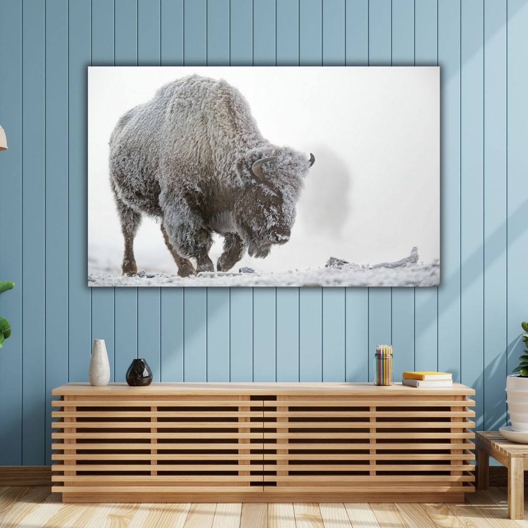 American Buffalo Canvas Wall Art, Buffalo in Snow Print Art, Buffalo ...