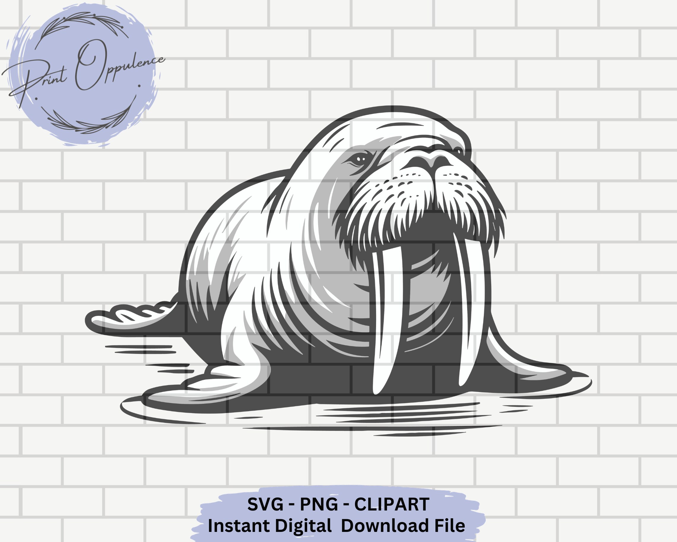 Walrus SVG Digital Download Arctic Animals Walrus PNG Instant - Etsy