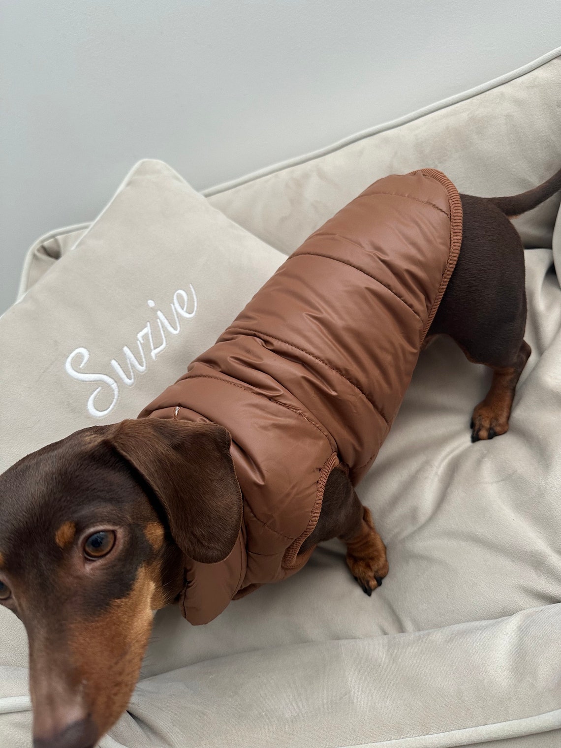 Dog Gilet Brown Dog Body Warmer Sausage Dog Jacket Pet Christmas ...