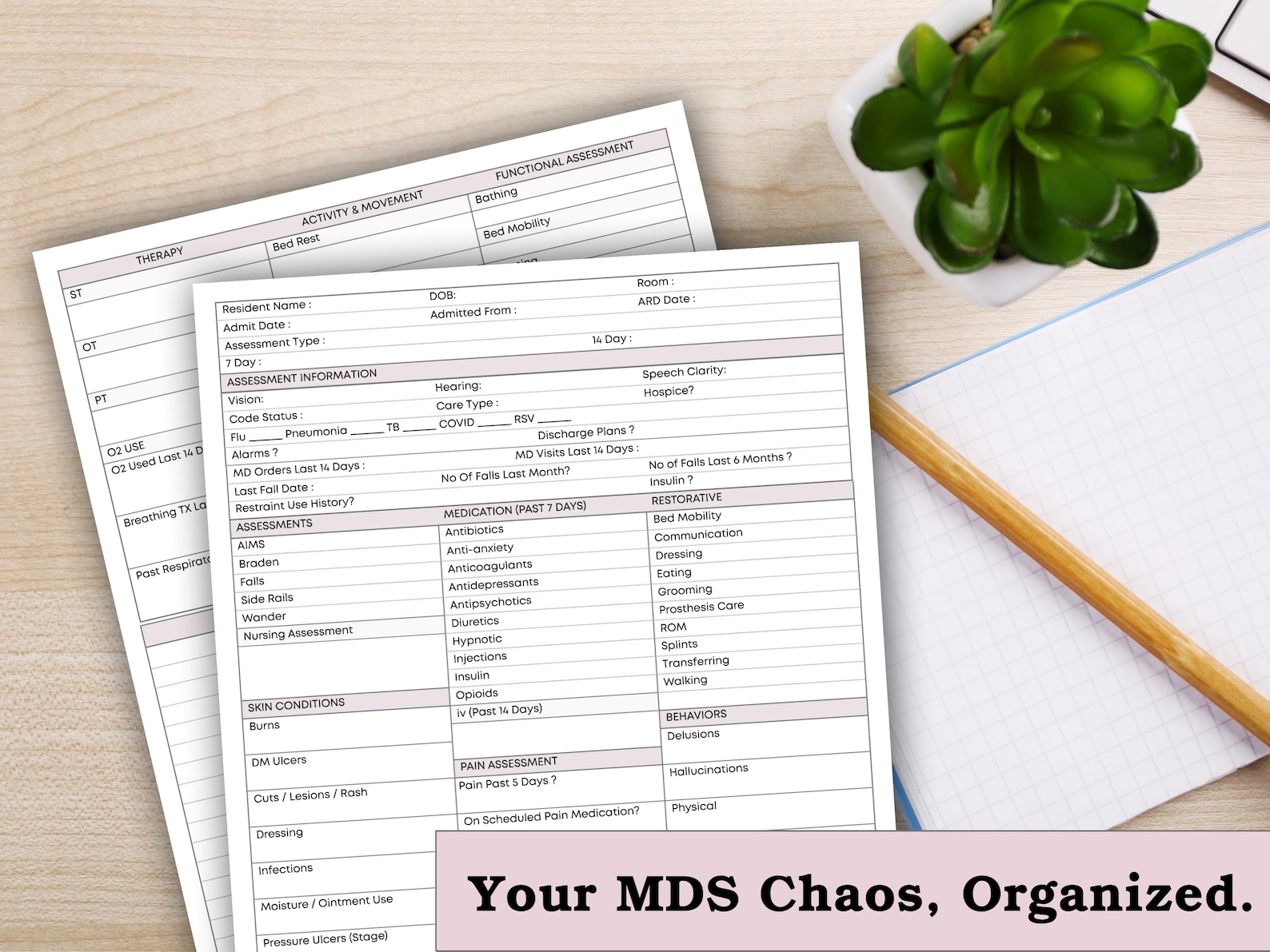 MDS Assessment Data Collection Printable Worksheet for MDS 3.0 ...