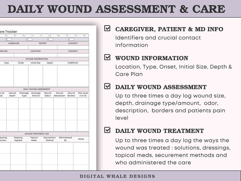 Editable Wound Assessment Chart, Wound Management Chart for Caregivers ...
