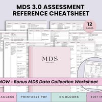 FY26_MDS PDPM Worksheet Combo With Projection_caa_10.1.25 - Etsy