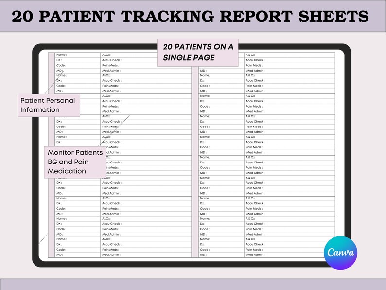 Long Term Care Patient Report Sheet for 20 Patient Long Term Care ...