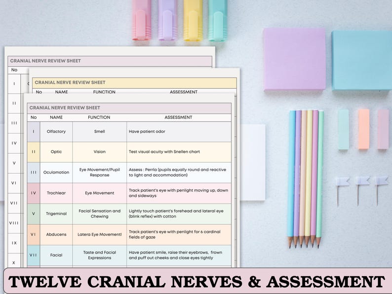 Cranial Nerve Cheat Sheet: Nursing Student Study Reference Assessment ...
