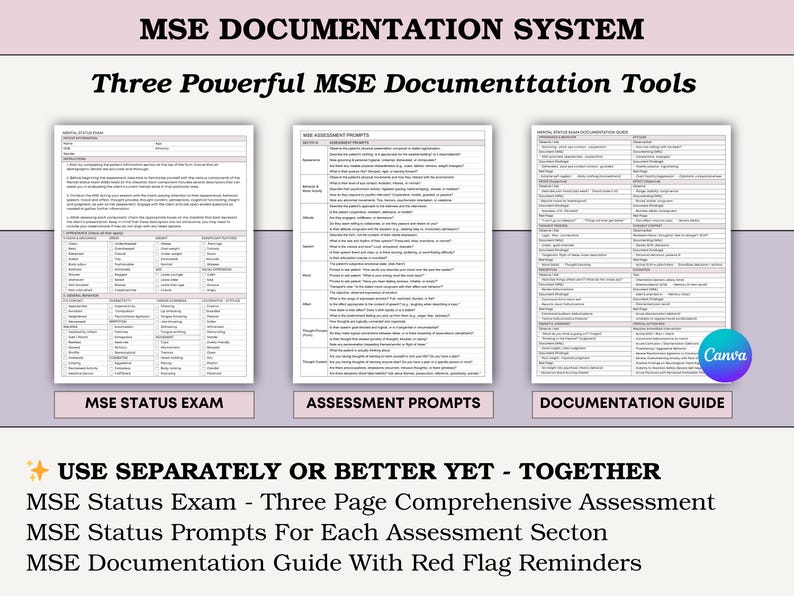 Comprehensive Mental Status Exam (MSE) Toolkit | Therapist Assessment ...