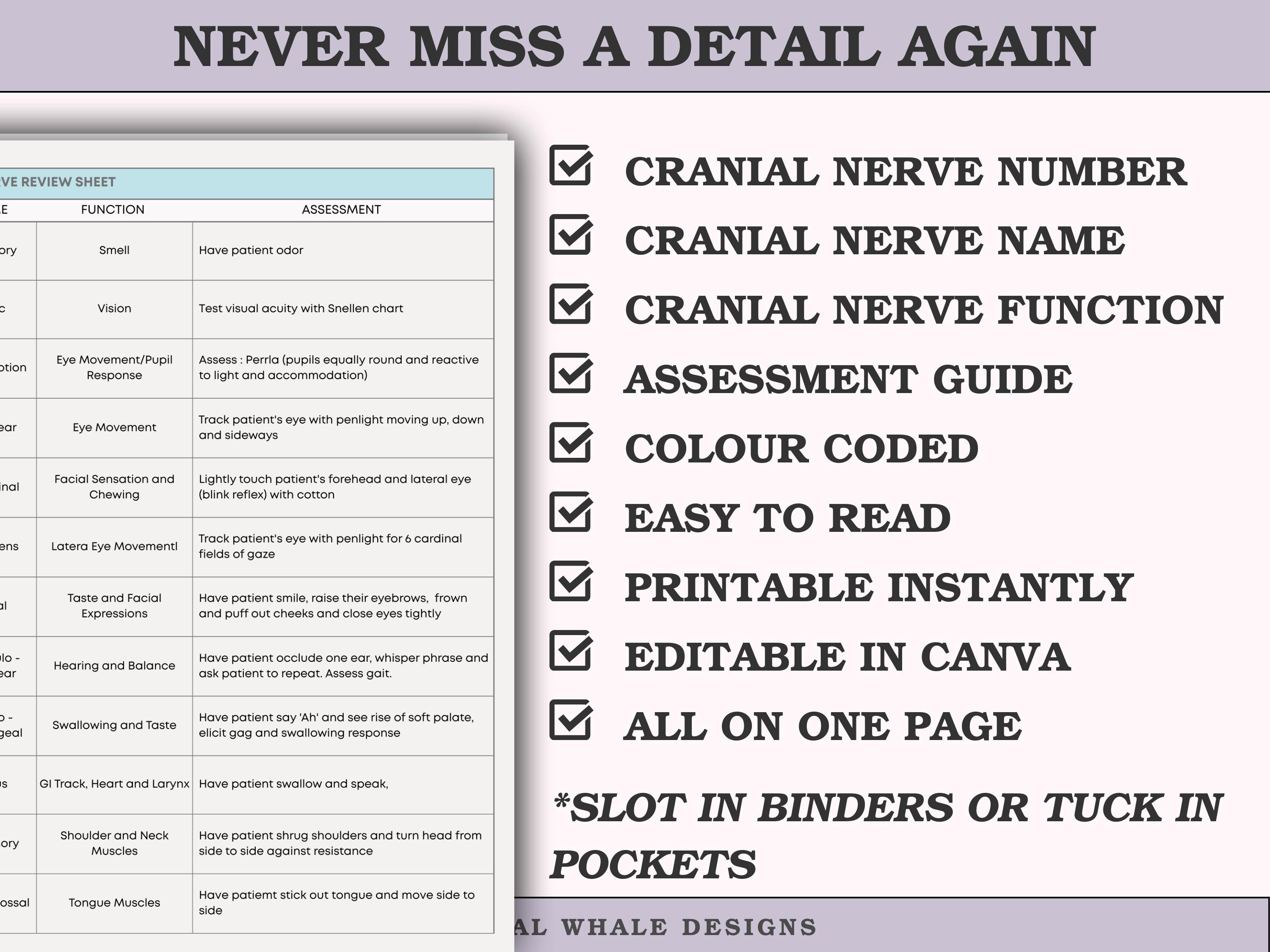 Cranial Nerve Cheat Sheet: Nursing Student Study Reference Assessment ...