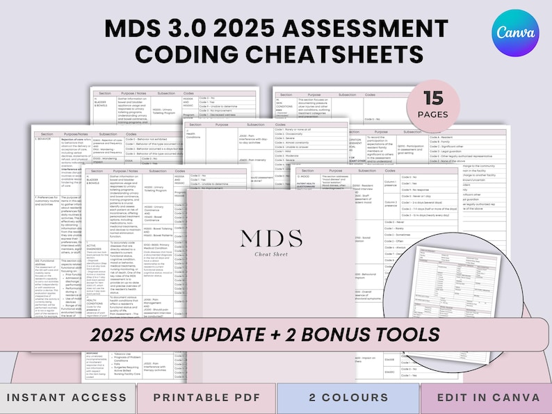 MDS 3.0 Assessment Cheat Sheet Set - Nursing Home MDS Coordinators ...